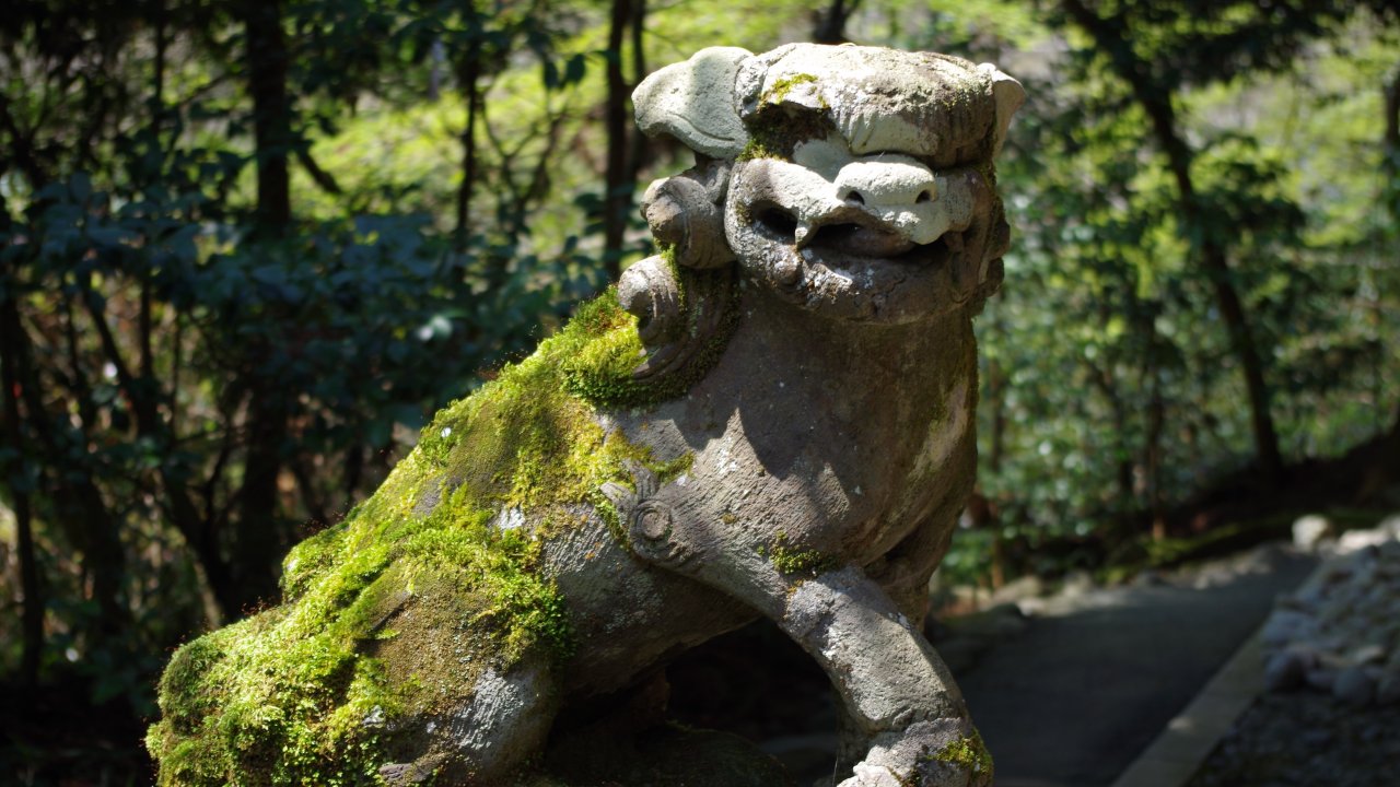 Fabulous Yokohama | Hakone shrine, checkpoint and hot spring day trip.