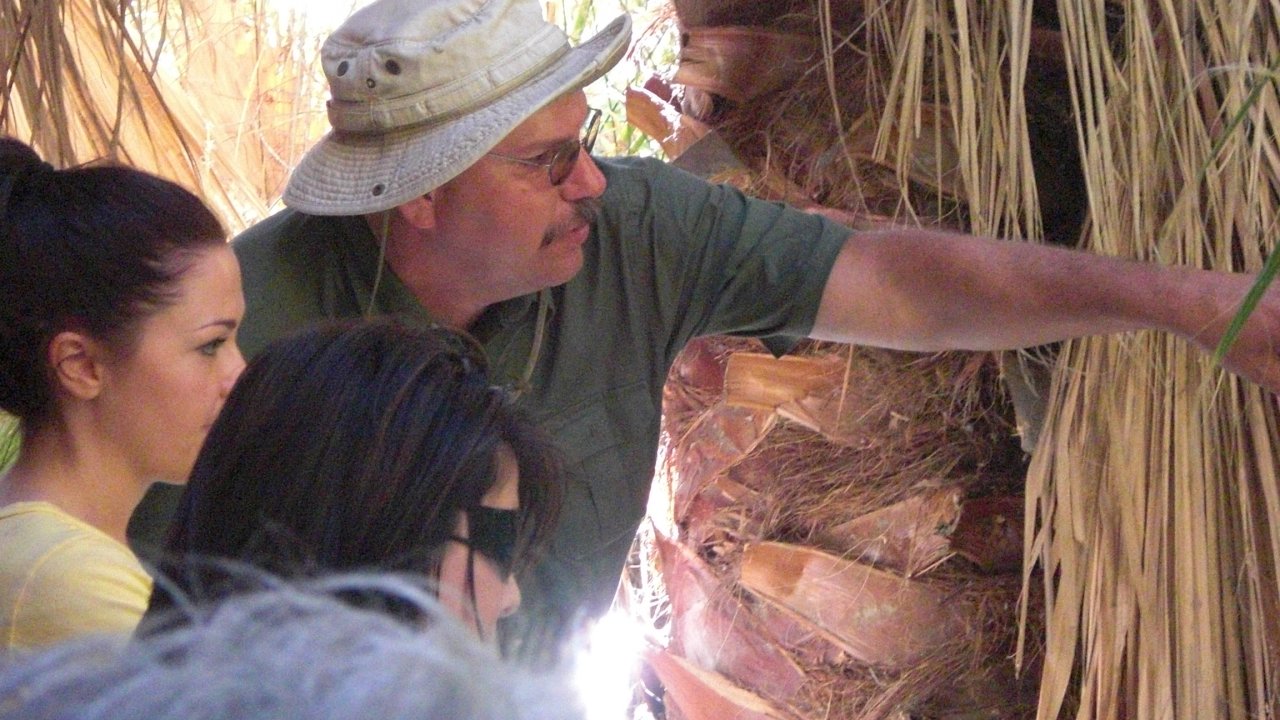 Palm Springs Jeep and Hummer Tours | San Andreas Fault Explorer