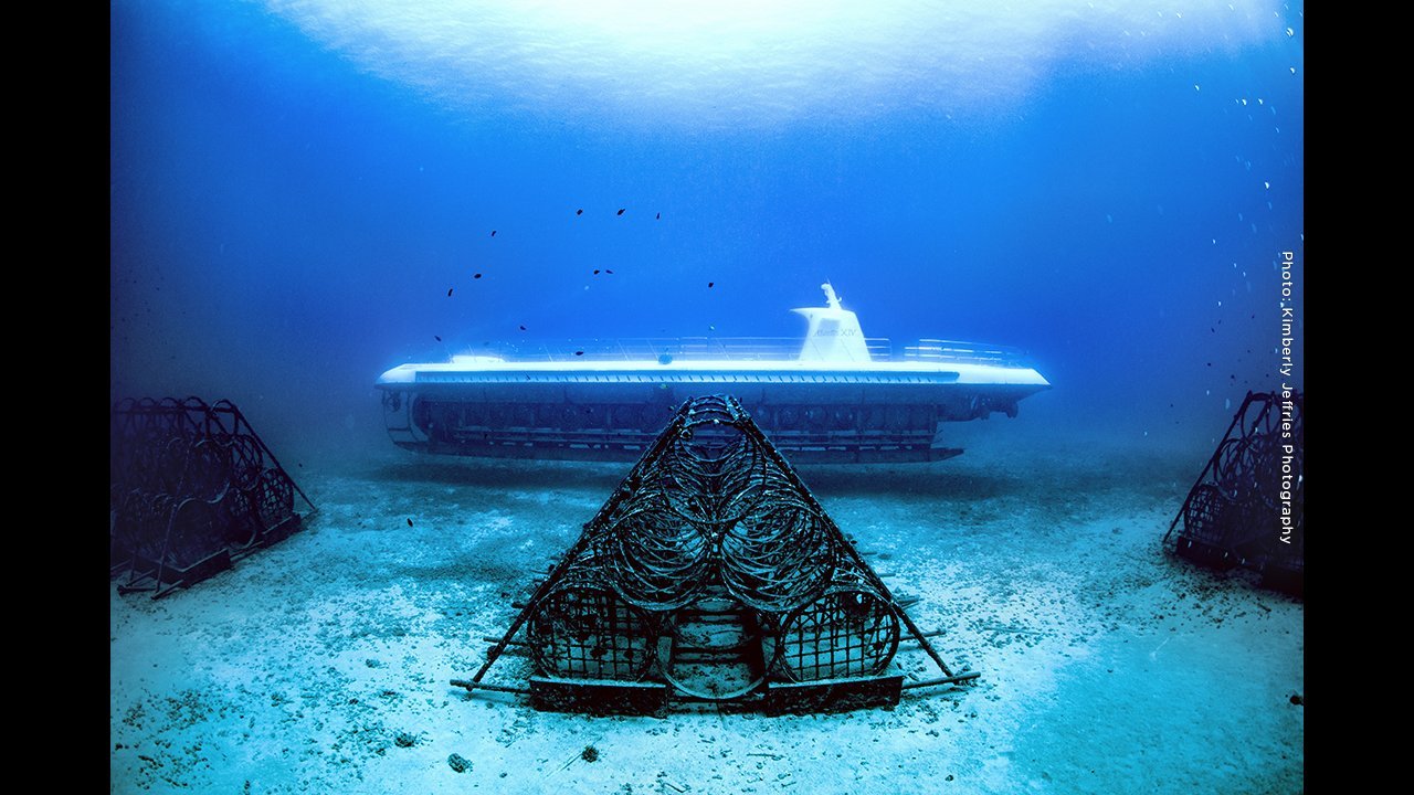 Atlantis Adventures | Atlantis Submarine Tour Waikiki