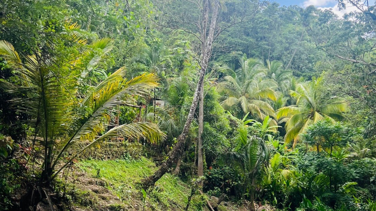 Bay Gardens Resorts Tours & Attractions | Anse la Raye and Soufriere ...