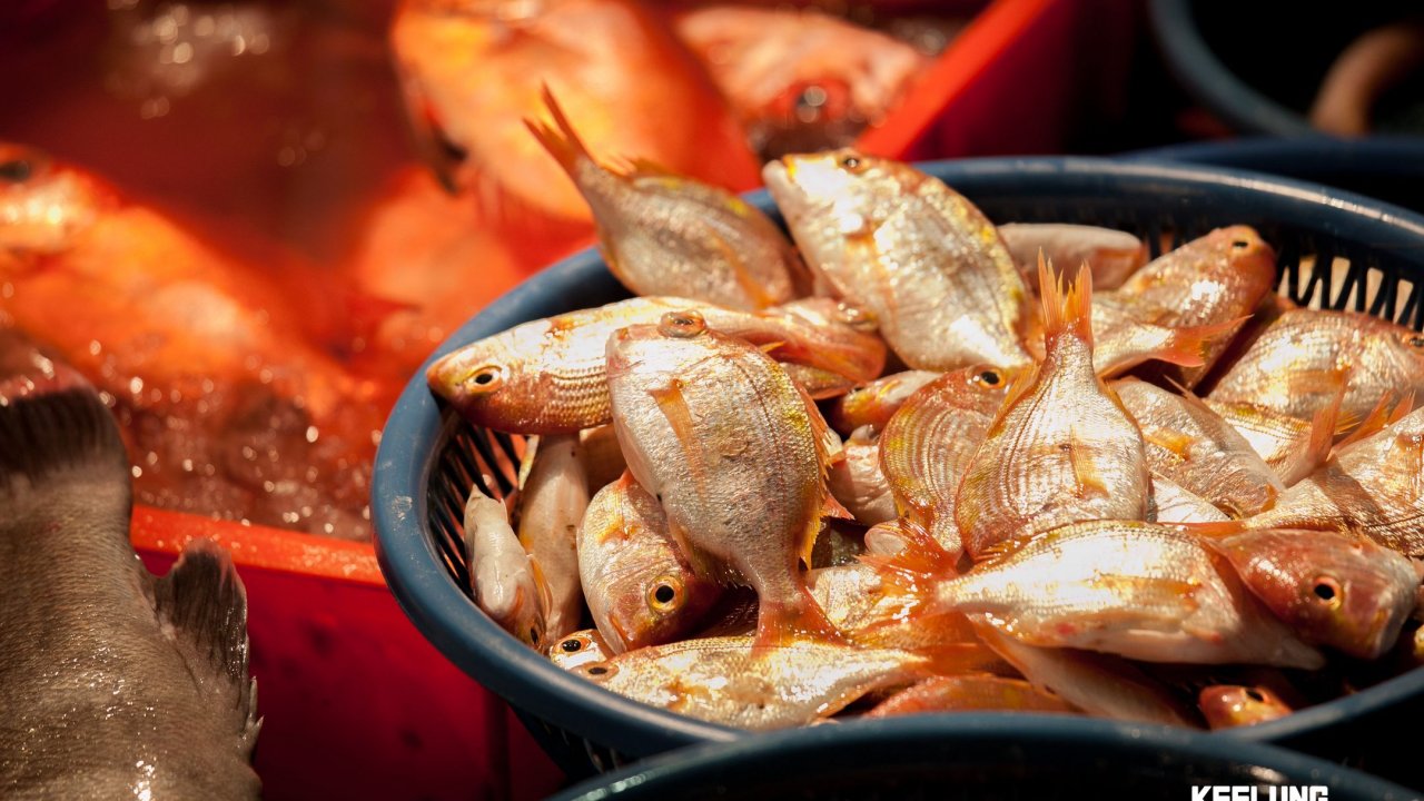Kanziding Fish Market Tour - no.1 in Keelung!